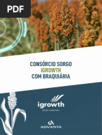 Concorde ICL Brazil | PDF | Agricultura