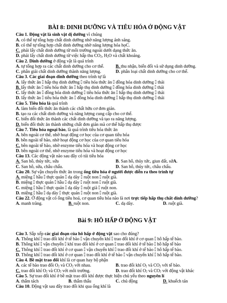 De Cuong S11-CKI | PDF