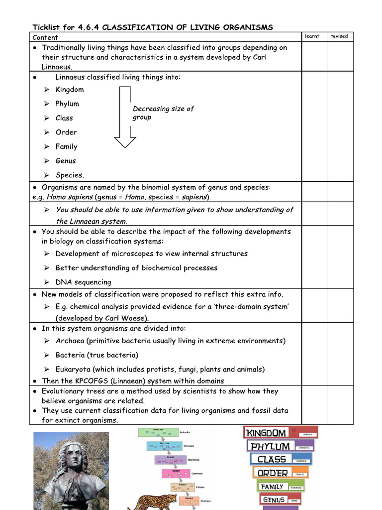 Classification Booklet | PDF