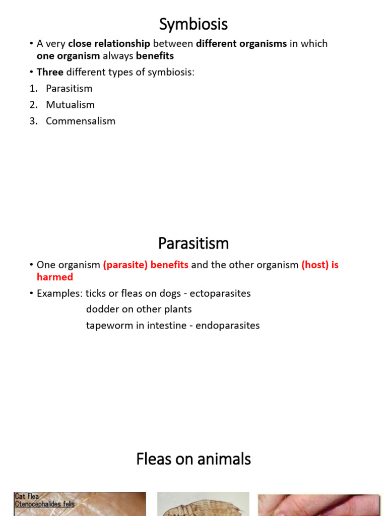 Symbiosis 2024 Grade 10 Notes | PDF