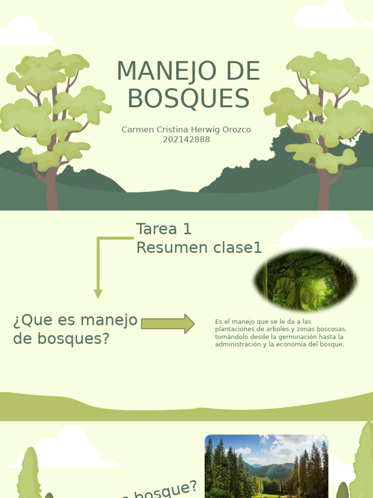 primer tarea manejo de bosques | PDF