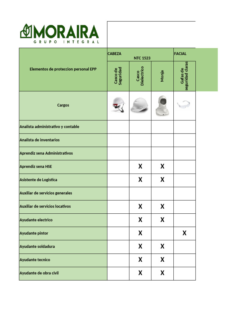 Matriz de Elementos de Protección Personal | PDF | Ingeniería mecánica ...