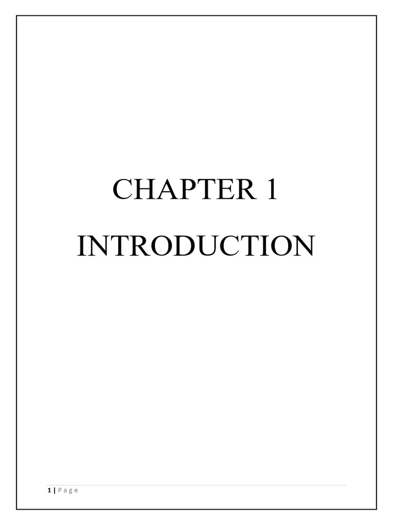 CIA 3 PBI REPORT | PDF | Loans | Financial Inclusion