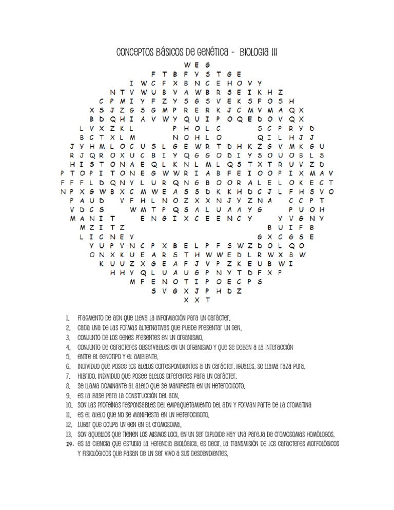 Conceptos Básicos de Genética Sopa de Letras | PDF | Salud y bienestar