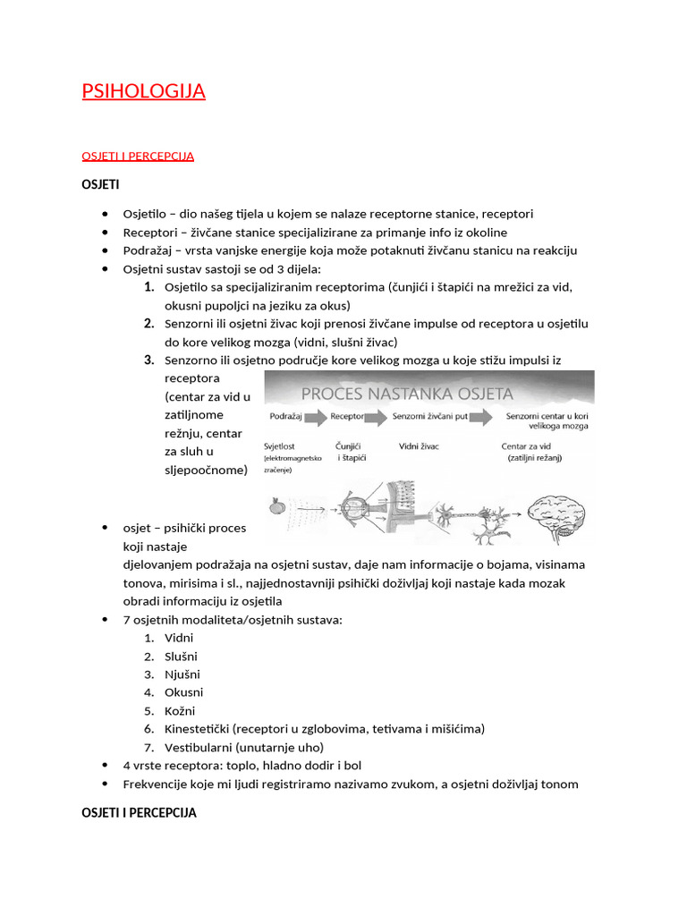 Osjeti I Percepcija | PDF
