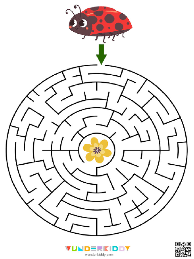 3Std Assignment | PDF