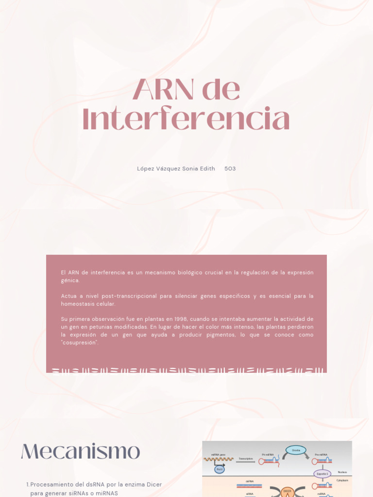 ARN Interferencia | PDF | Messenger Rna | Rna