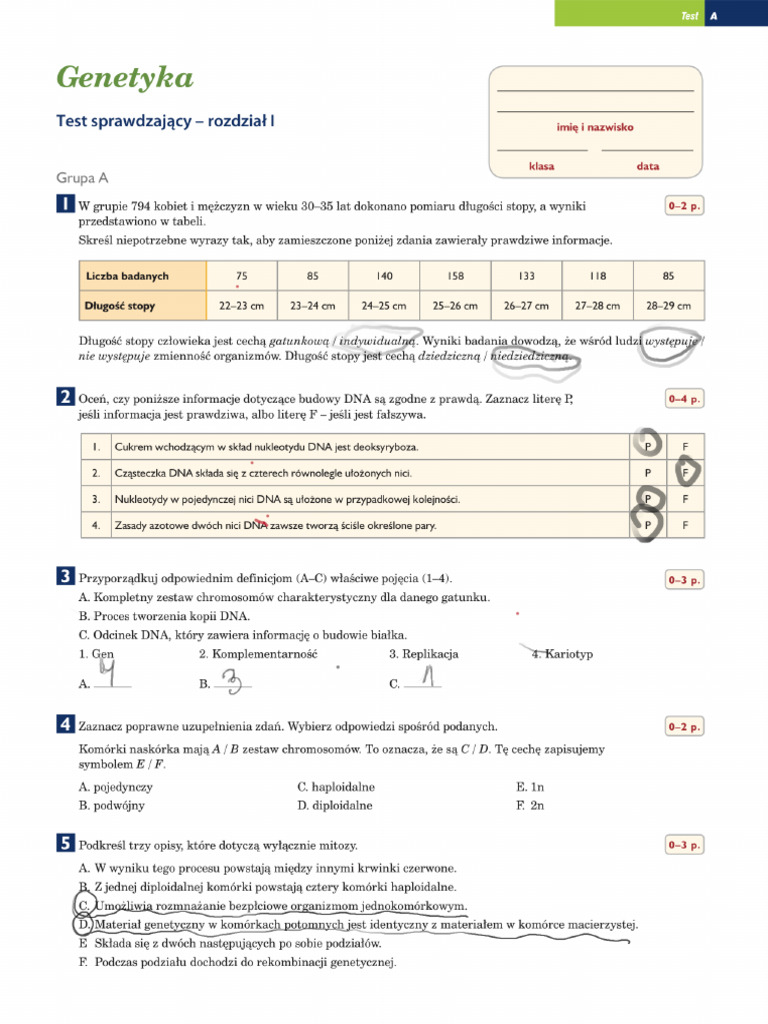 Test Po Dziale 1 | PDF