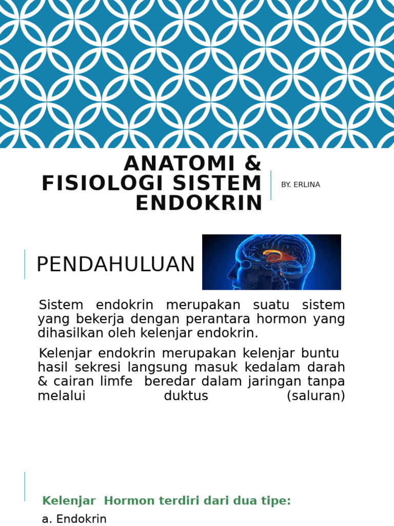 Anatomi & Fisiologi Sistem Endokrin | PDF
