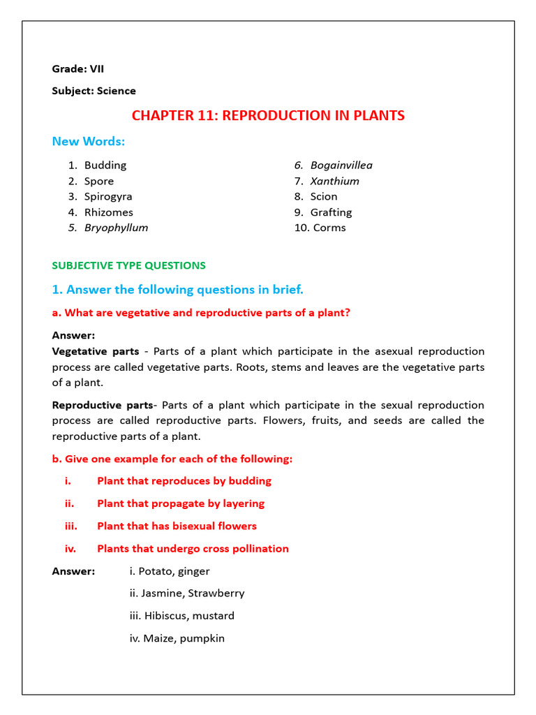 GR 7 - CH 11 - Reproduction in Plants | PDF | Flowers | Fertilisation