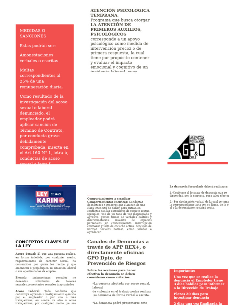 Triptico Karin EST | PDF | Acoso sexual | Injusticia