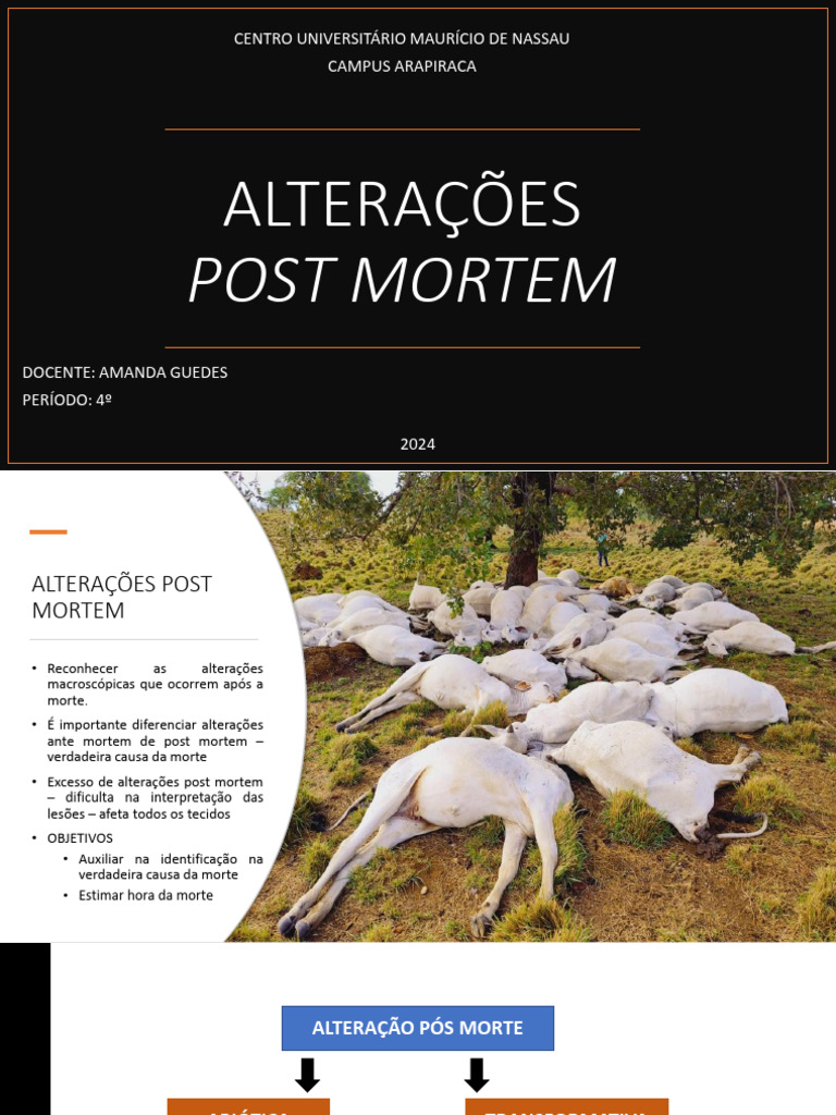 Coágulo Cruórico e Pseudomelanose Post Mortem | PDF | Enzima | Morte