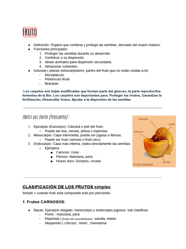Anatomía y Clasificación de Frutos | PDF | Plantas | Técnicas hortícolas