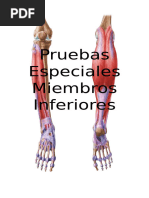 Pruebas de Bostezo en Rodilla | PDF | Rodilla | Medicina CLINICA