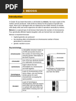 Meiosis Notes 2025 | PDF | Meiosis | Chromosome
