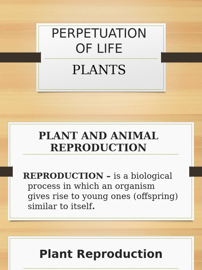 Plant Reproduction New | PDF | Plant Reproduction | Seed
