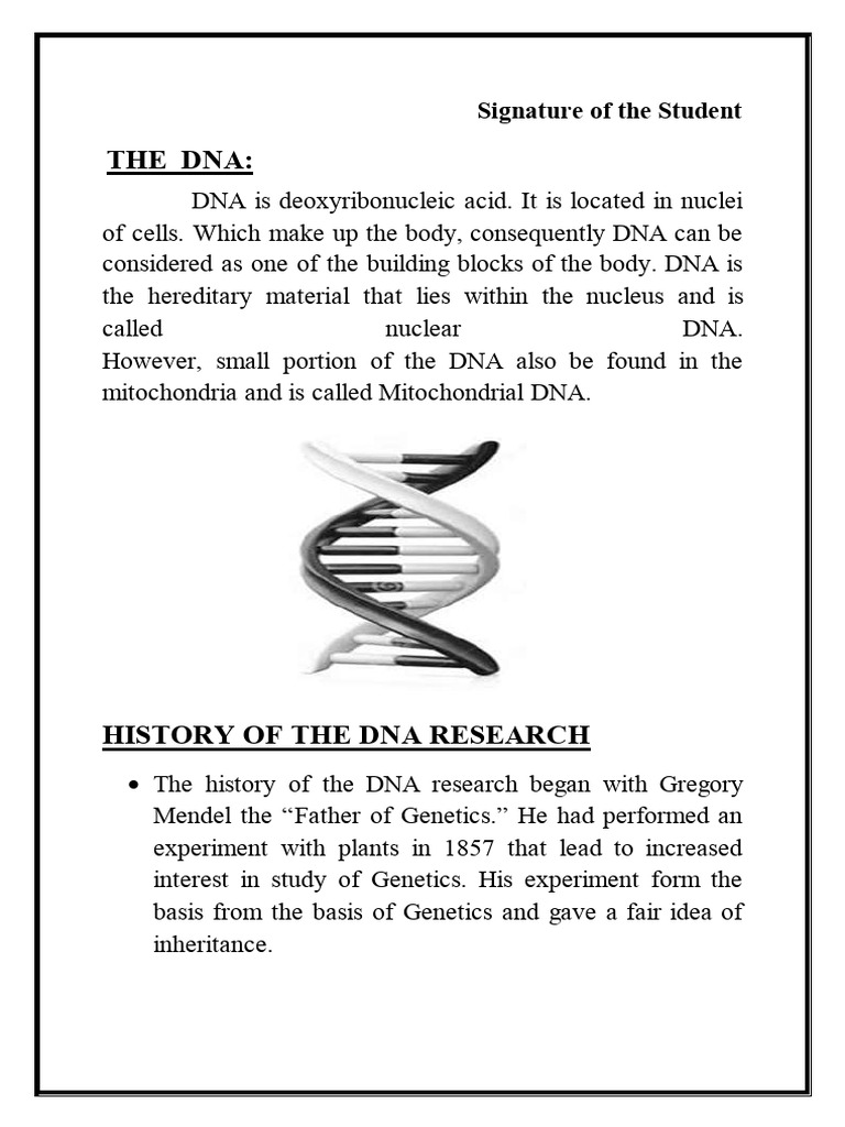 dna-200119113739 | PDF | Translation (Biology) | Dna