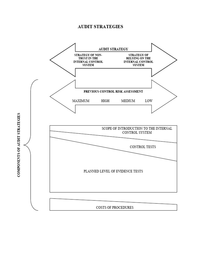Audit Strategies | PDF