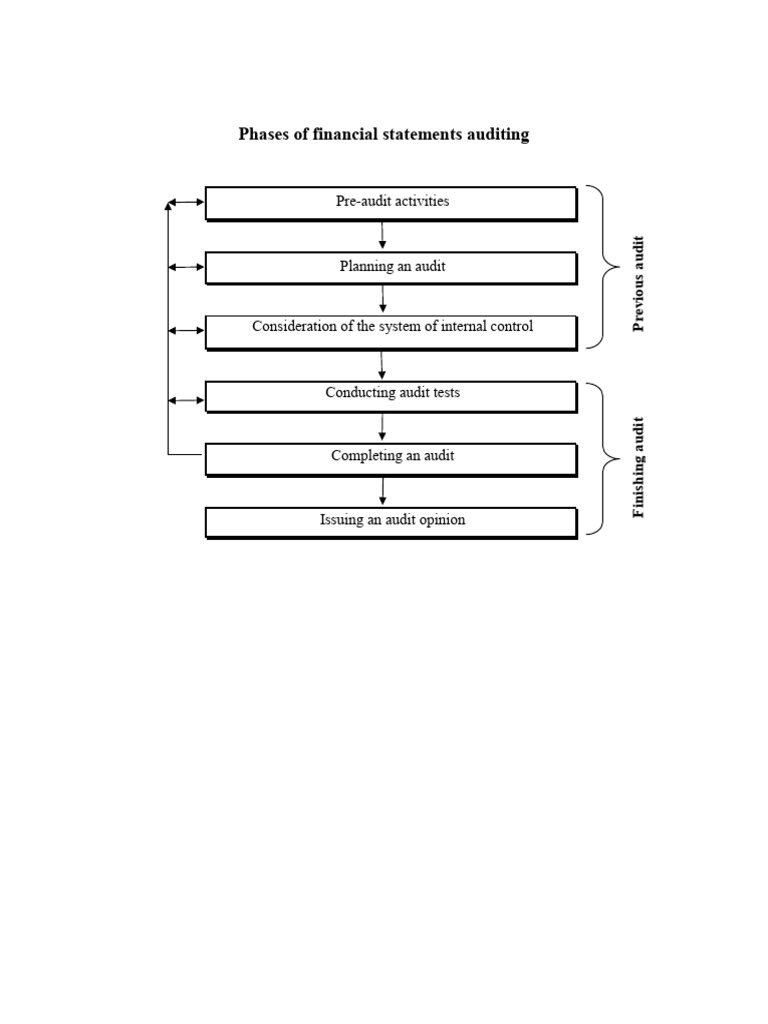 Phases of Financial Statement Auditing | PDF