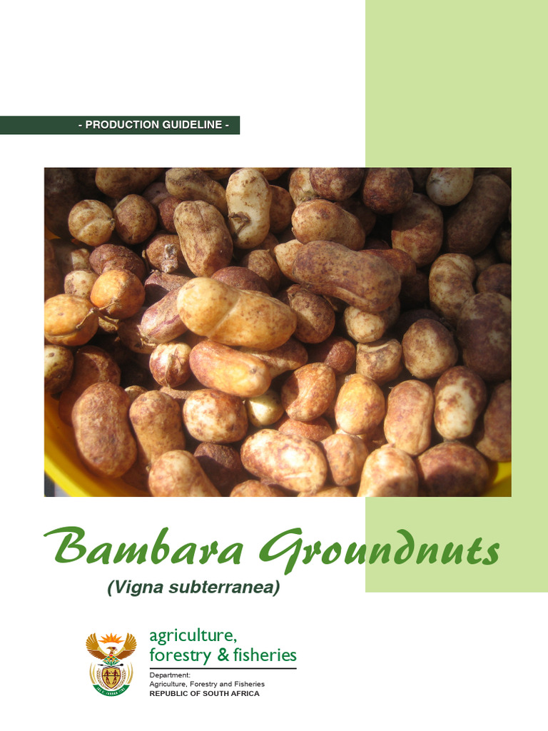 Bambara | PDF | Plants | Botany