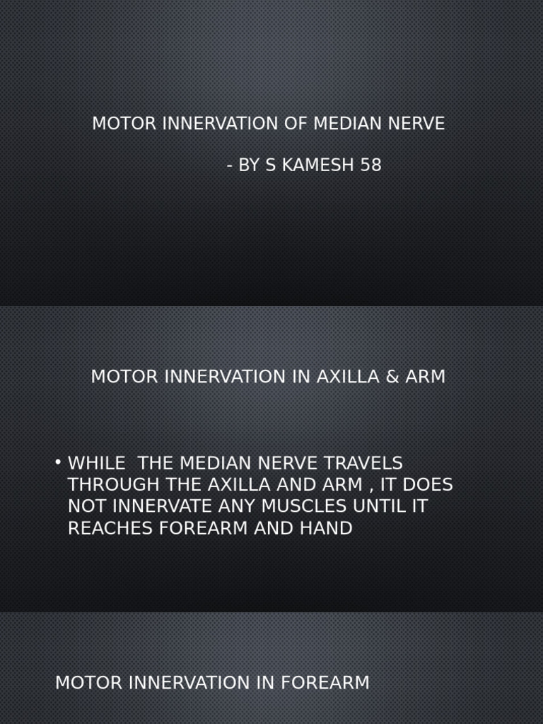 Motor Innervation - 58 | PDF