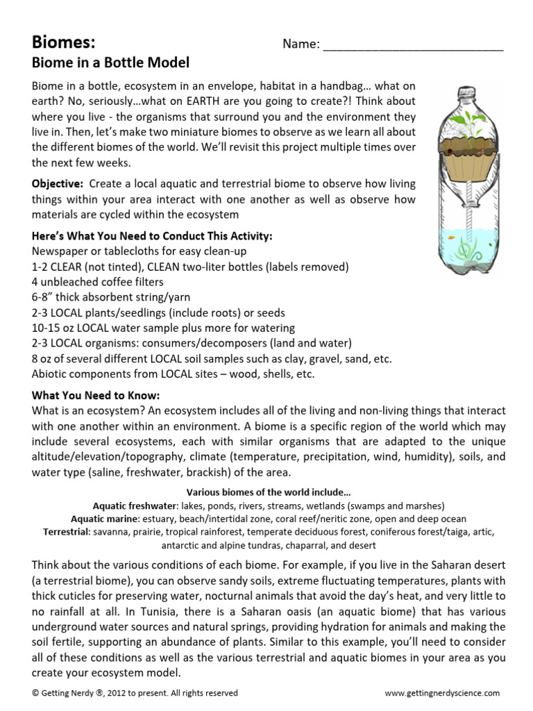 10 Intro to Biomes Project | PDF | Ecosystem | Soil