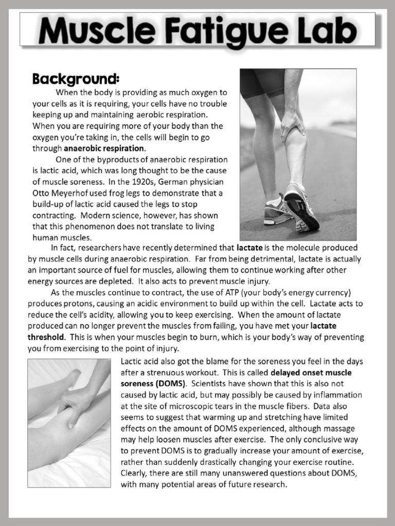 Muscle Fatigue Lab | PDF