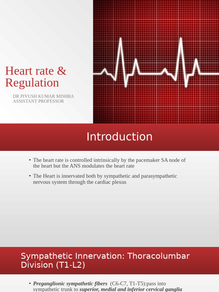 Heart Rate Regulation and Effects | PDF | Heart Rate | Vagus Nerve
