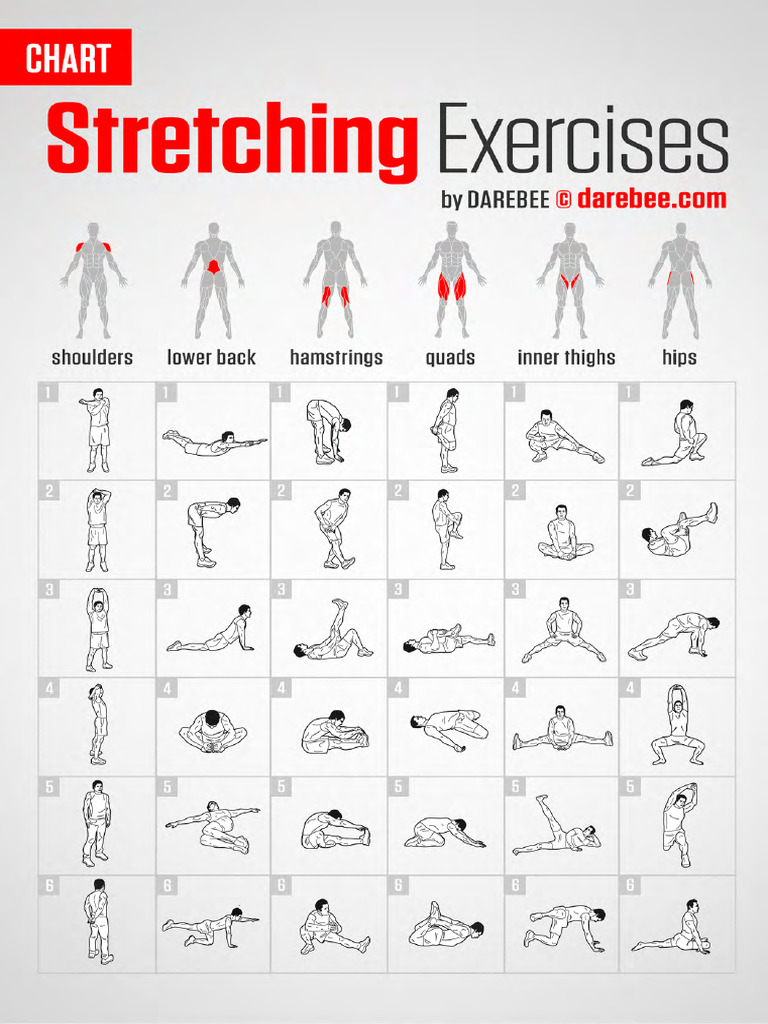 Stretching Exercises Chart | PDF