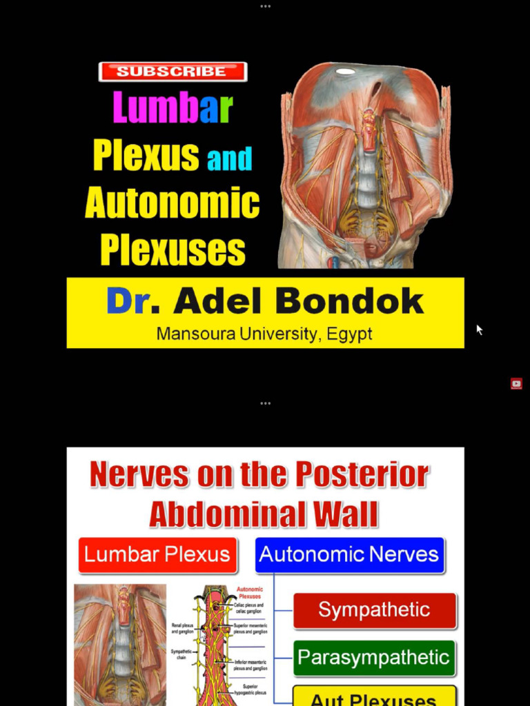 23 - Lumber Plexus | PDF