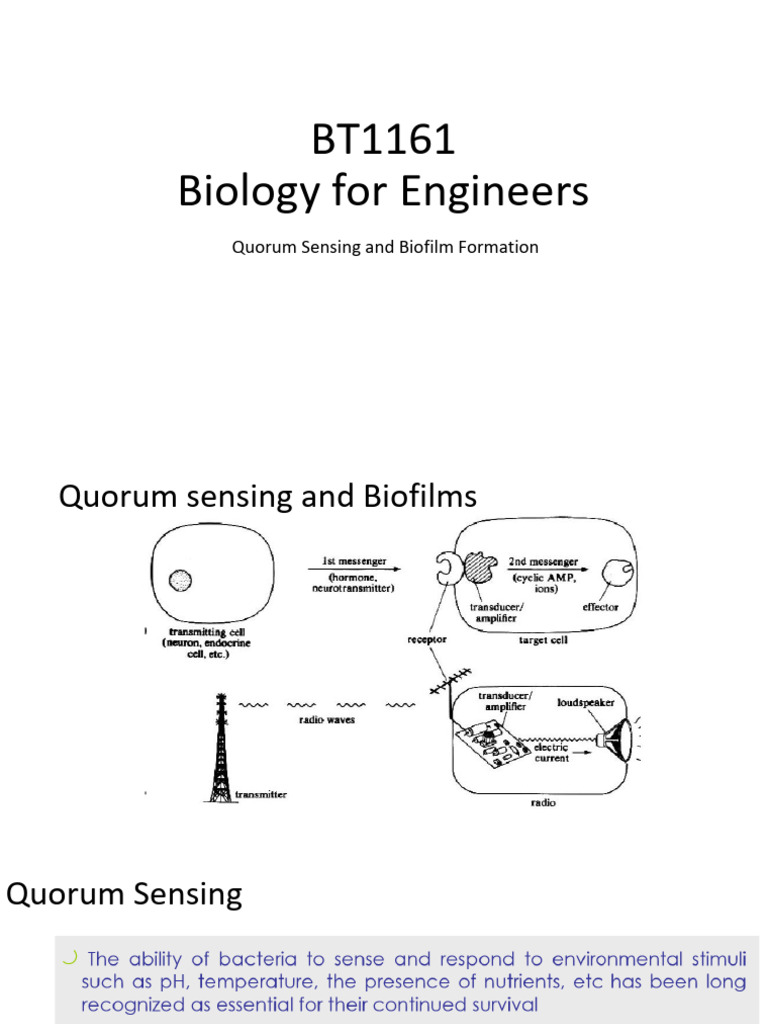 Quorum Sensing and Biofilm Formation | PDF