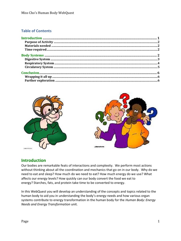 Human Body WebQuest | PDF | Human Digestive System | Circulatory System