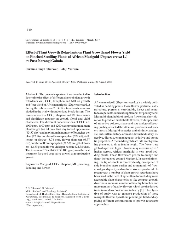 Plant Growth Retardants in Marigold | PDF | Plant Nursery | Seedling
