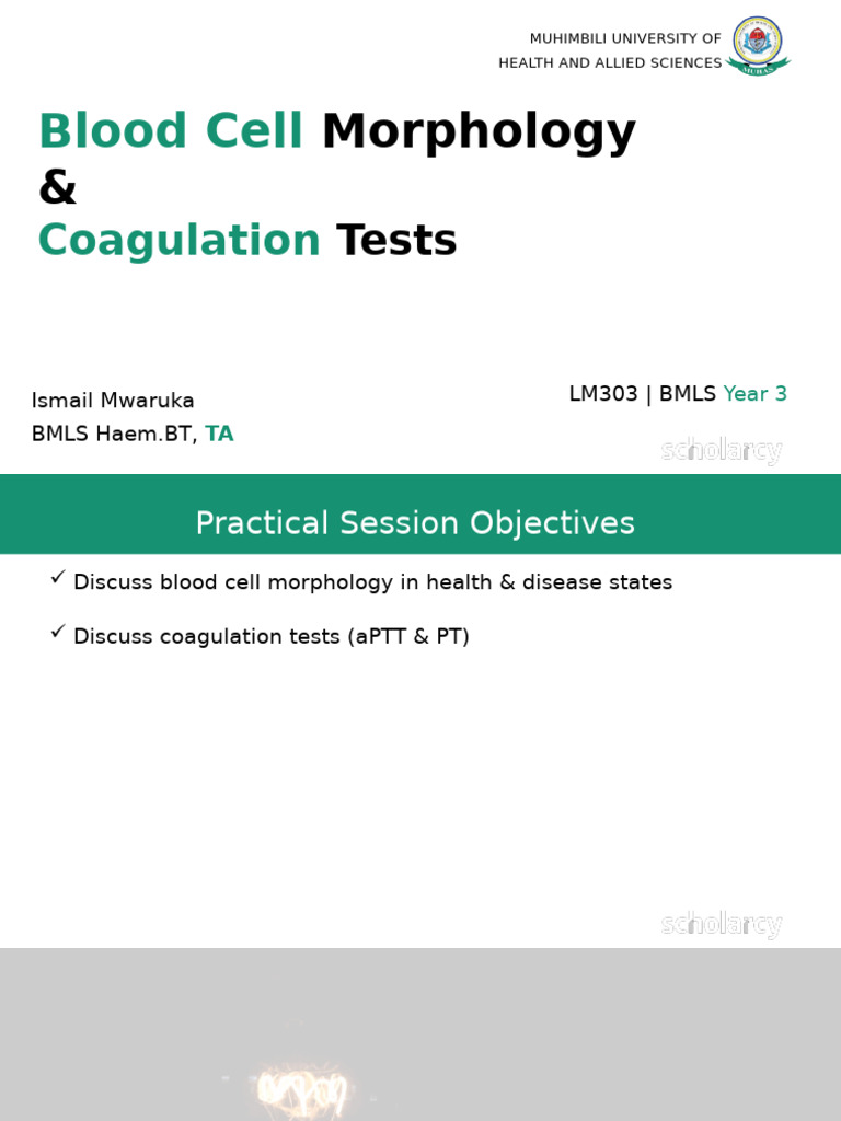 Blood Cell Morphology & Coagulation Tests Practical | PDF | Coagulation ...