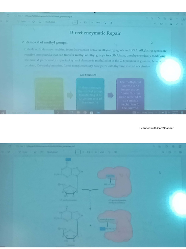 Shikhon - Last Cls - 2nd Part | PDF