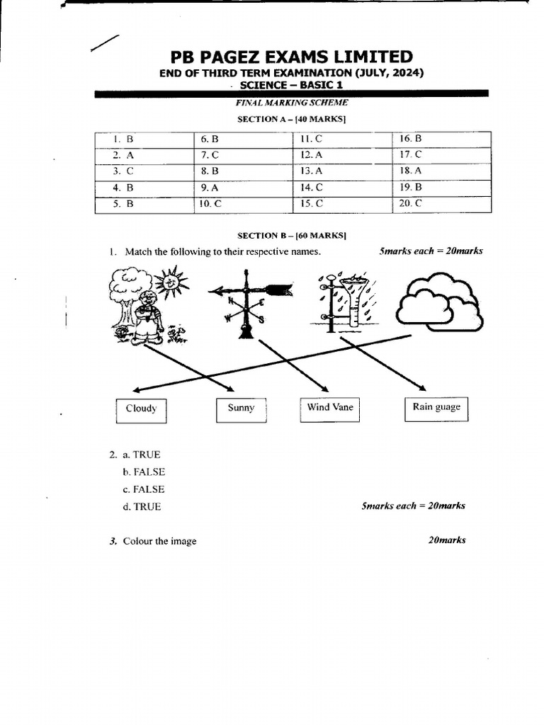 B1 Marking Scheme | PDF