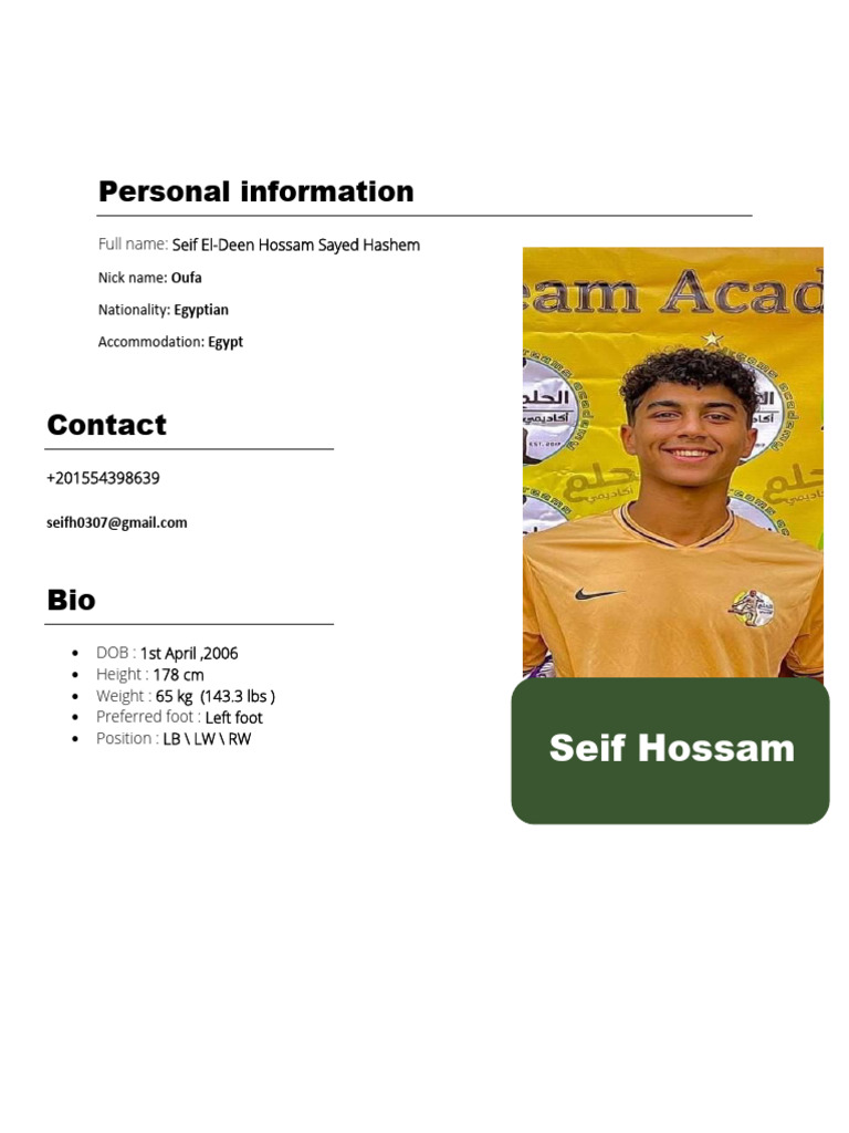 CV Seif Hossam | PDF