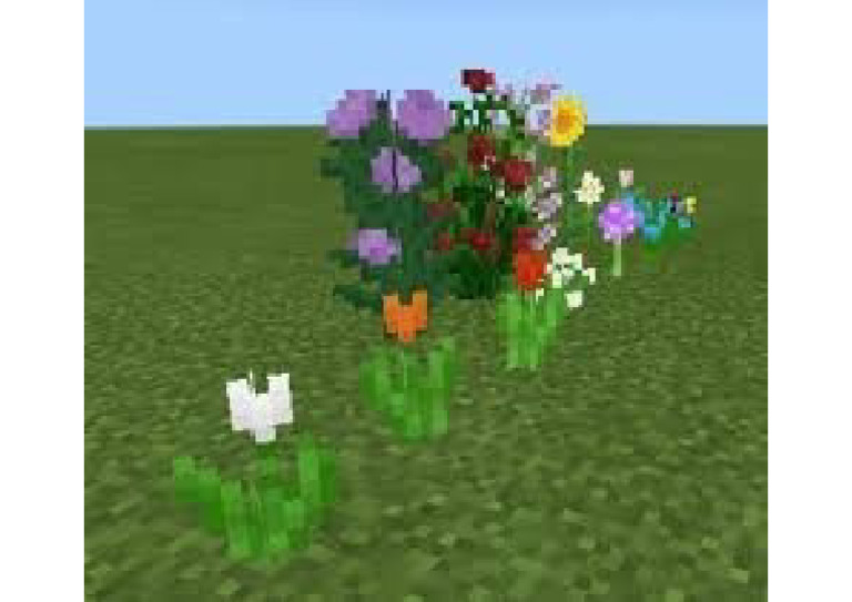 Flores Minecraft | PDF