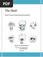 Spinal Coding Handout | PDF | Vertebral Column | Vertebra