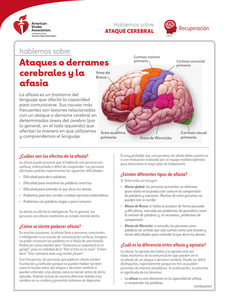 LTAS Ataques o Derrames Cerebrales y La Afasia | PDF | Afasia | Cerebro