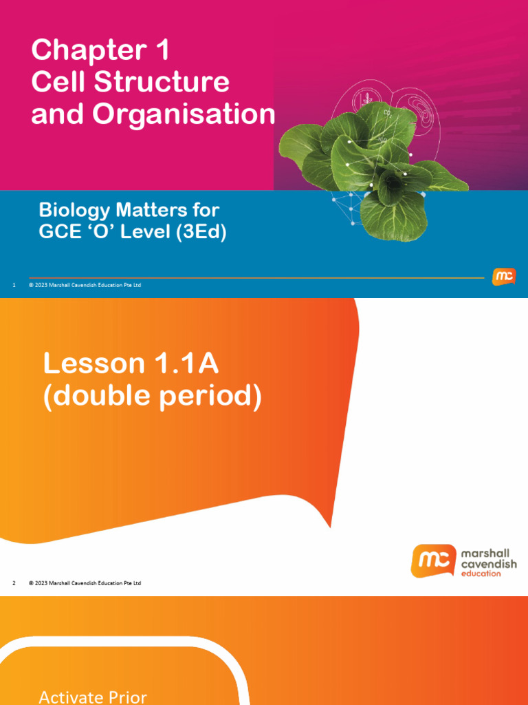 GCE 'O' Level Biology: Cell Basics | PDF | Endoplasmic Reticulum | Cell ...