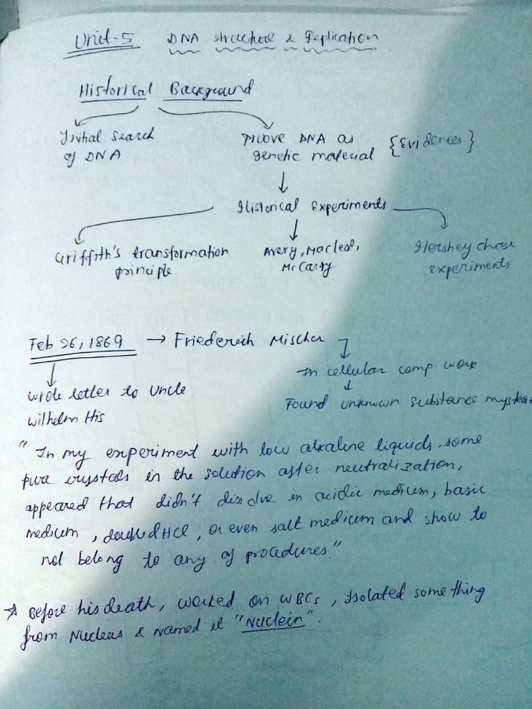 Unit 5 Notes-1 | PDF