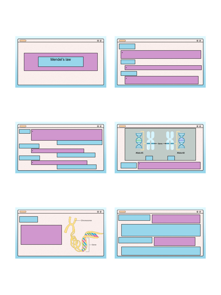 Lesson 1 Mendelian Genetics | PDF | Dominance (Genetics) | Gene
