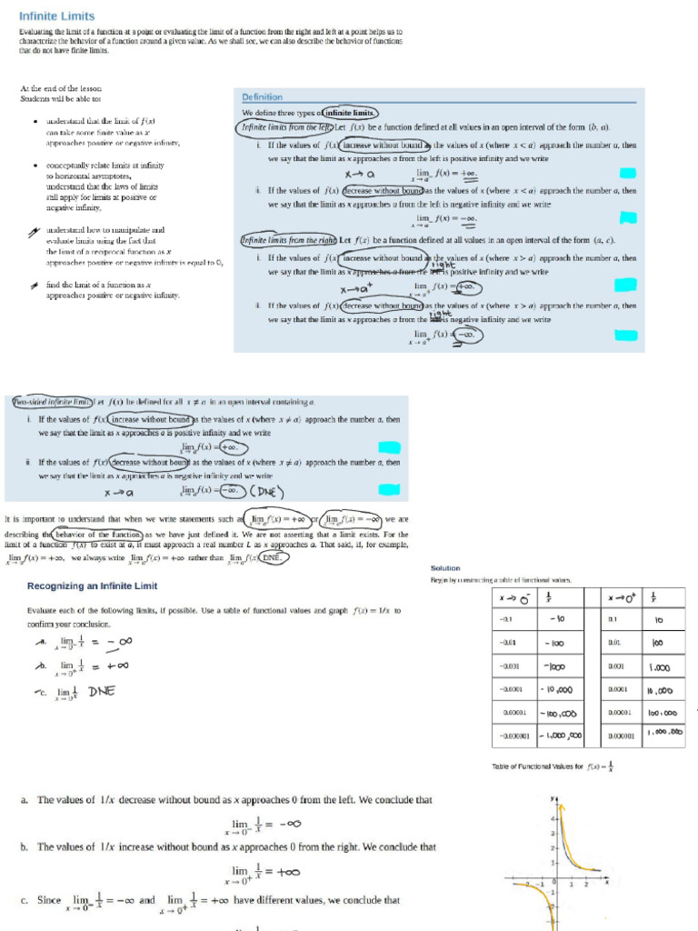 STEM 5 - Infinite Limits Limits at Infinity 1 | PDF