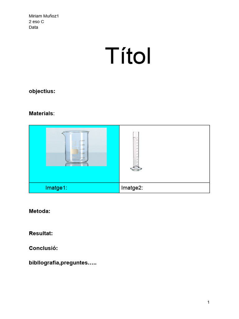 MIRIAM MUÑOZ GARCÍA - Plantilla D'informe de Pràctiques | PDF