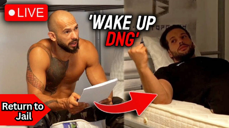 Return To Jail | PDF