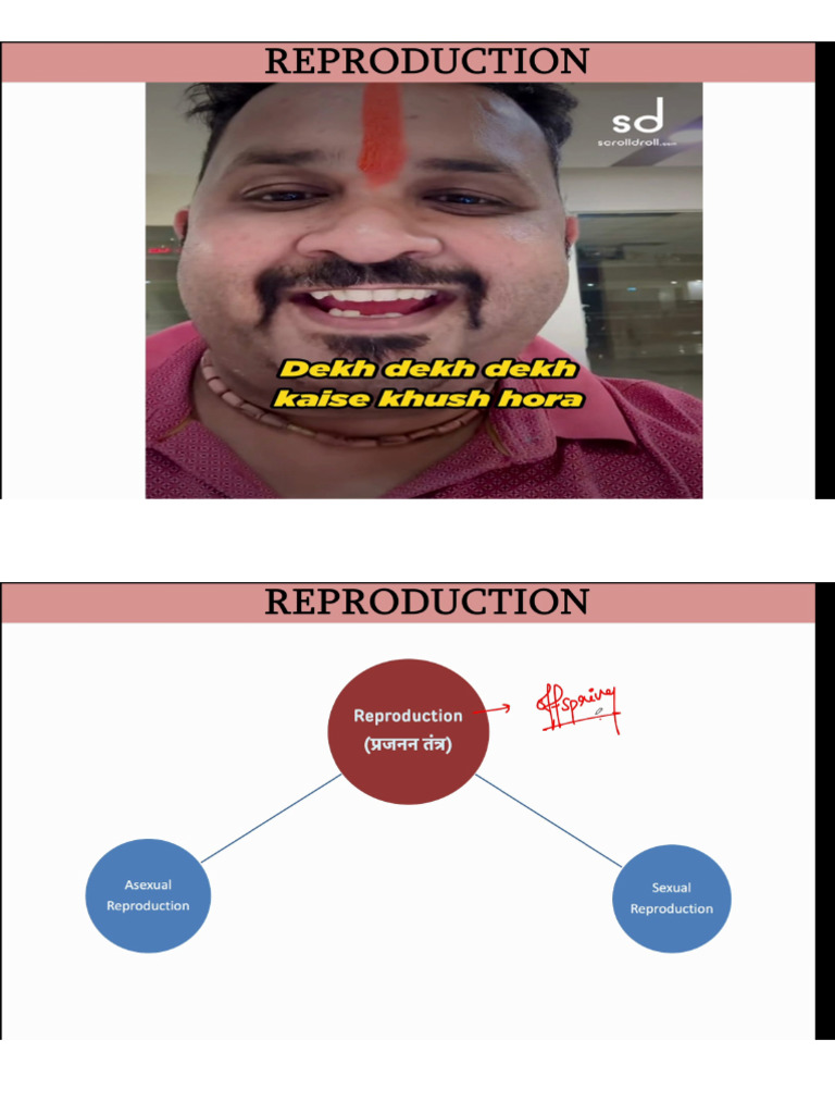 Reproduction | PDF
