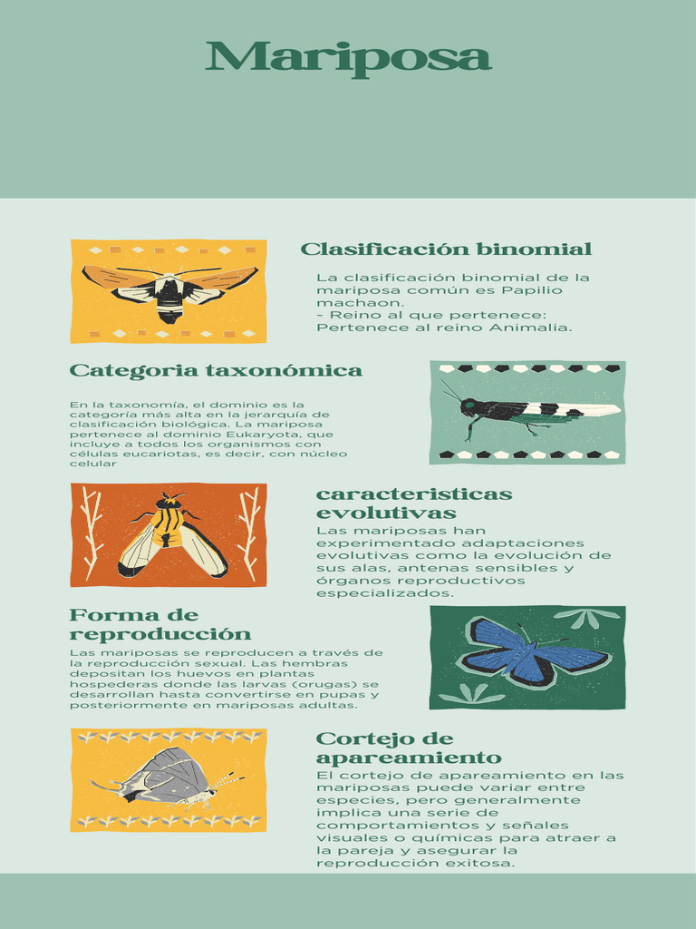 Infografía Insectos y Medio Ambiente Ilustrado Verde_20241016_230822 ...