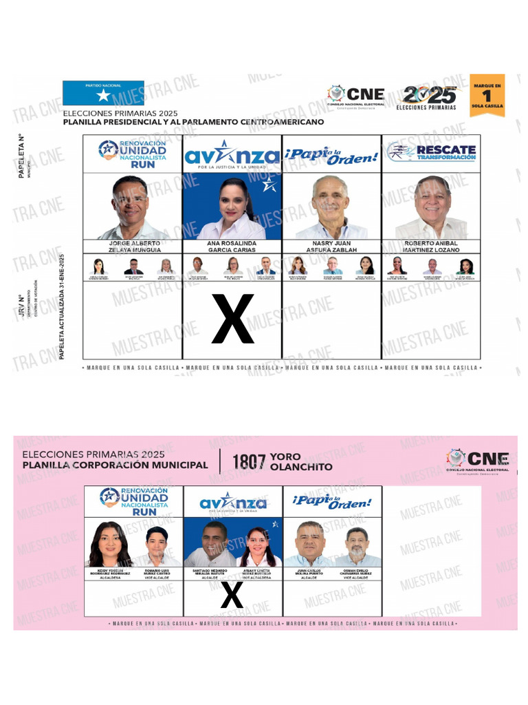 Como Marcar Papeletas | PDF