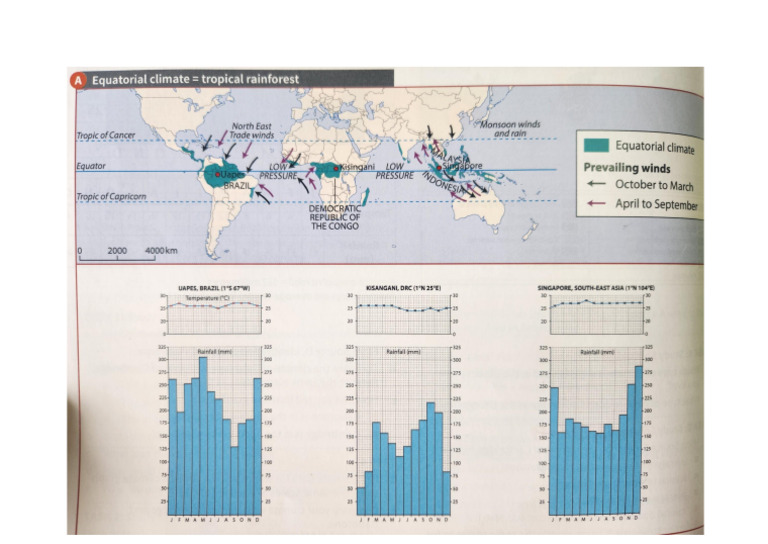 Equatorial Climate - Tropical Rainforest | PDF